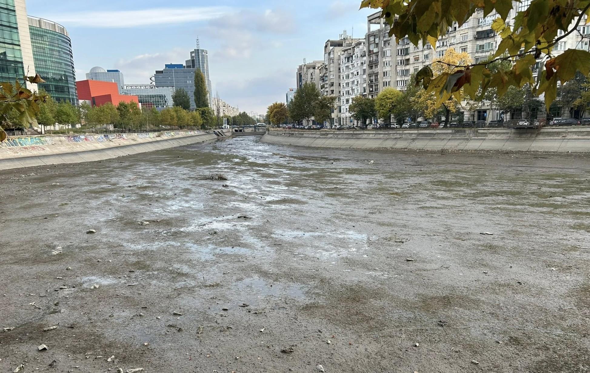 Mlaștina de la Planșeul Unirii: Mirosuri insuportabile … — DeBucurești